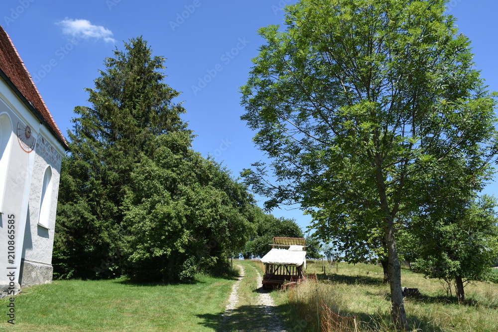 Bad Endorf, Mauerkirchen, Baum, Weg, Feldweg, Feld, Landwirtschaft ...