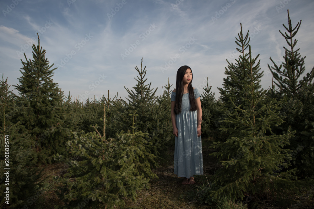 Girl standing in pine tree forest Stock Photo | Adobe Stock