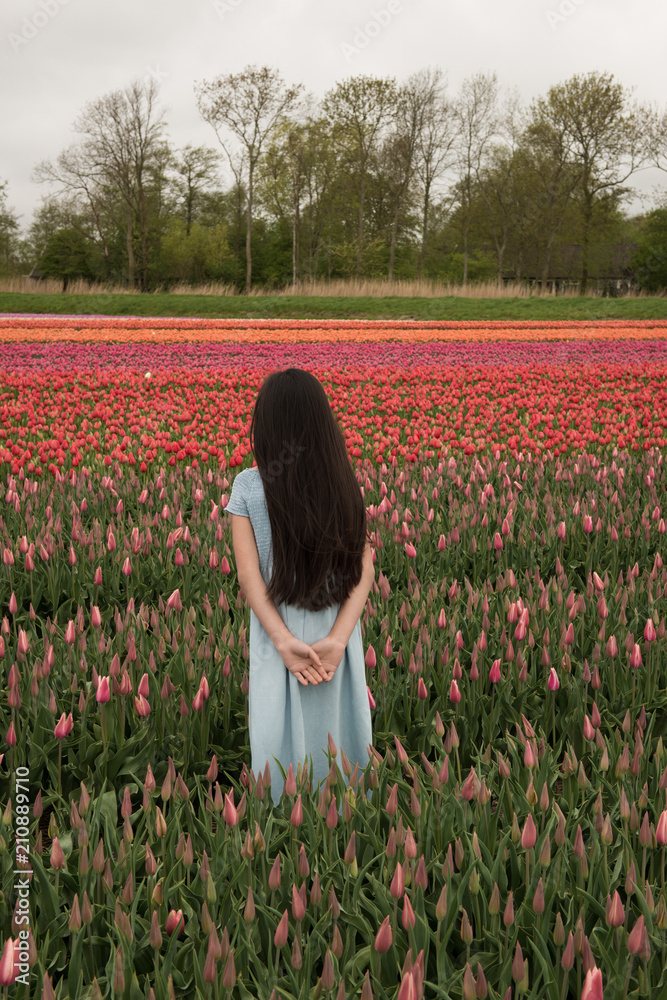 Back of girl standing in tulip field Stock Photo | Adobe Stock