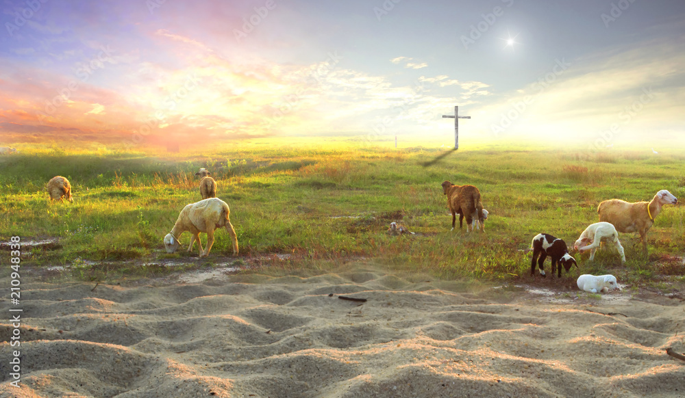 Photo & Art Print The cross of Jesus Christ on the flock of meadows, paul