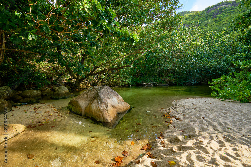 Anse major trail, hiking on nature trail of Mahe, Seychelles Stock ...