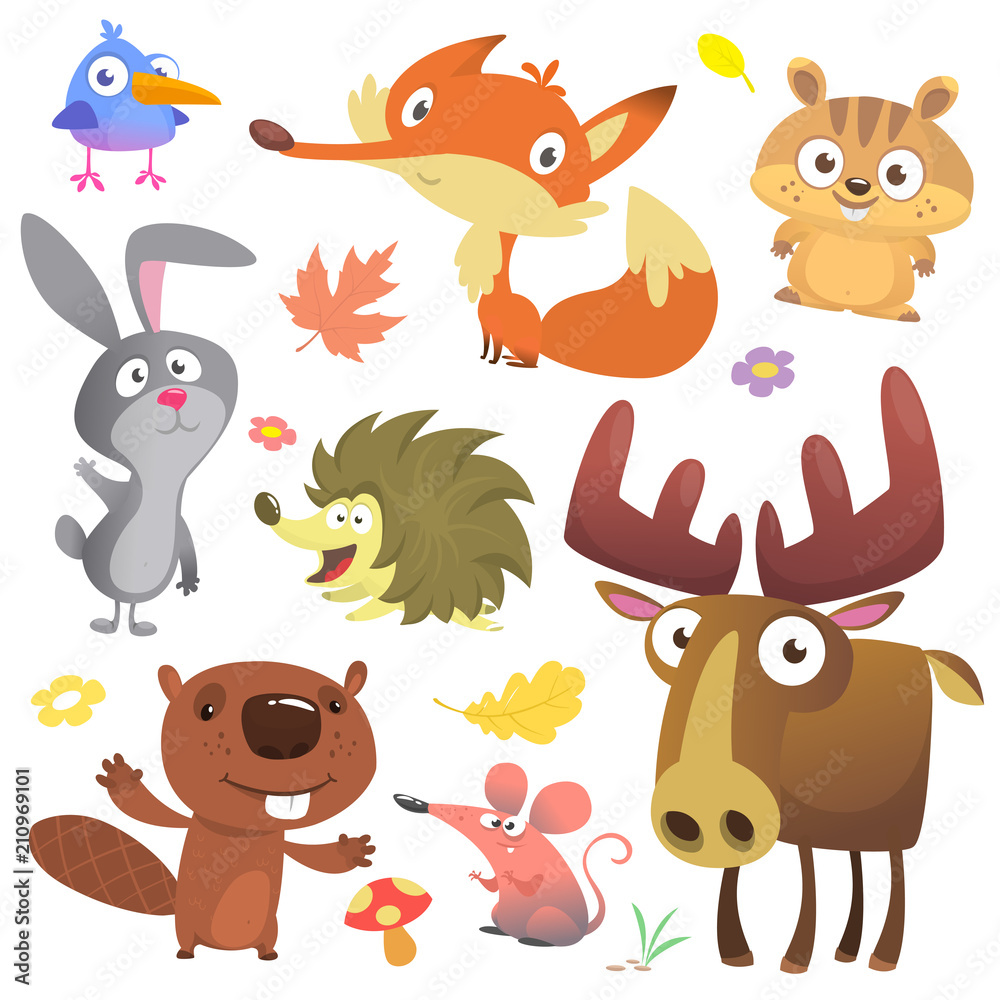 Set of cute woodland animals isolated on white background. Cartoon bird ...