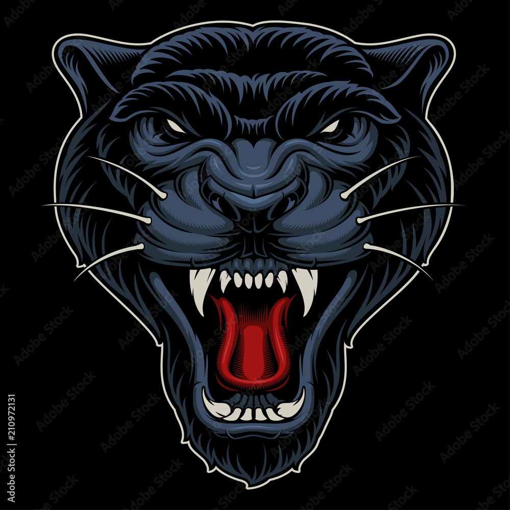Vector illustration of panther. Stock Vector | Adobe Stock