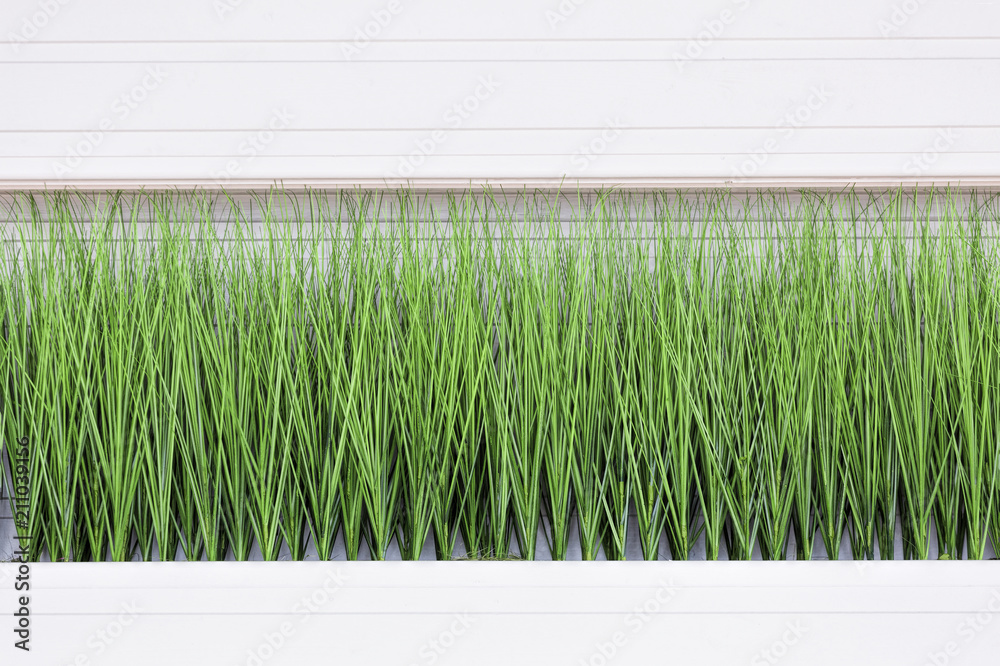 Green grass, Office decor, modern cafe, interior, design, tyle, concept ...