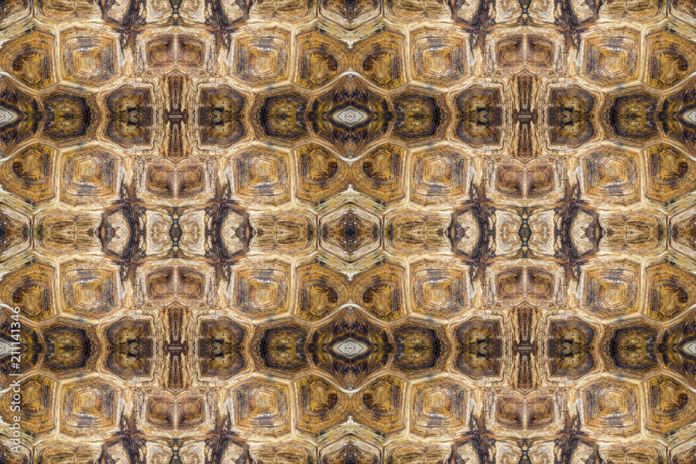 Turtle Shell Texture