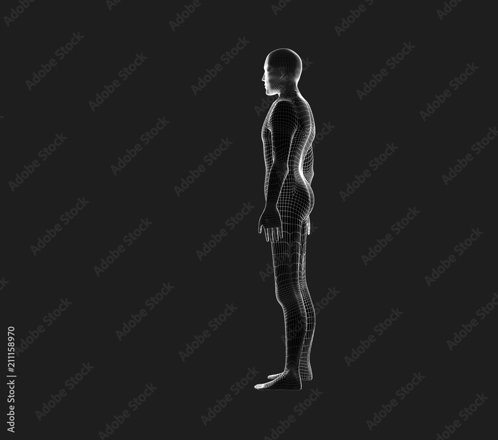 Side view of human body. Wireframe model on black, artificial ...