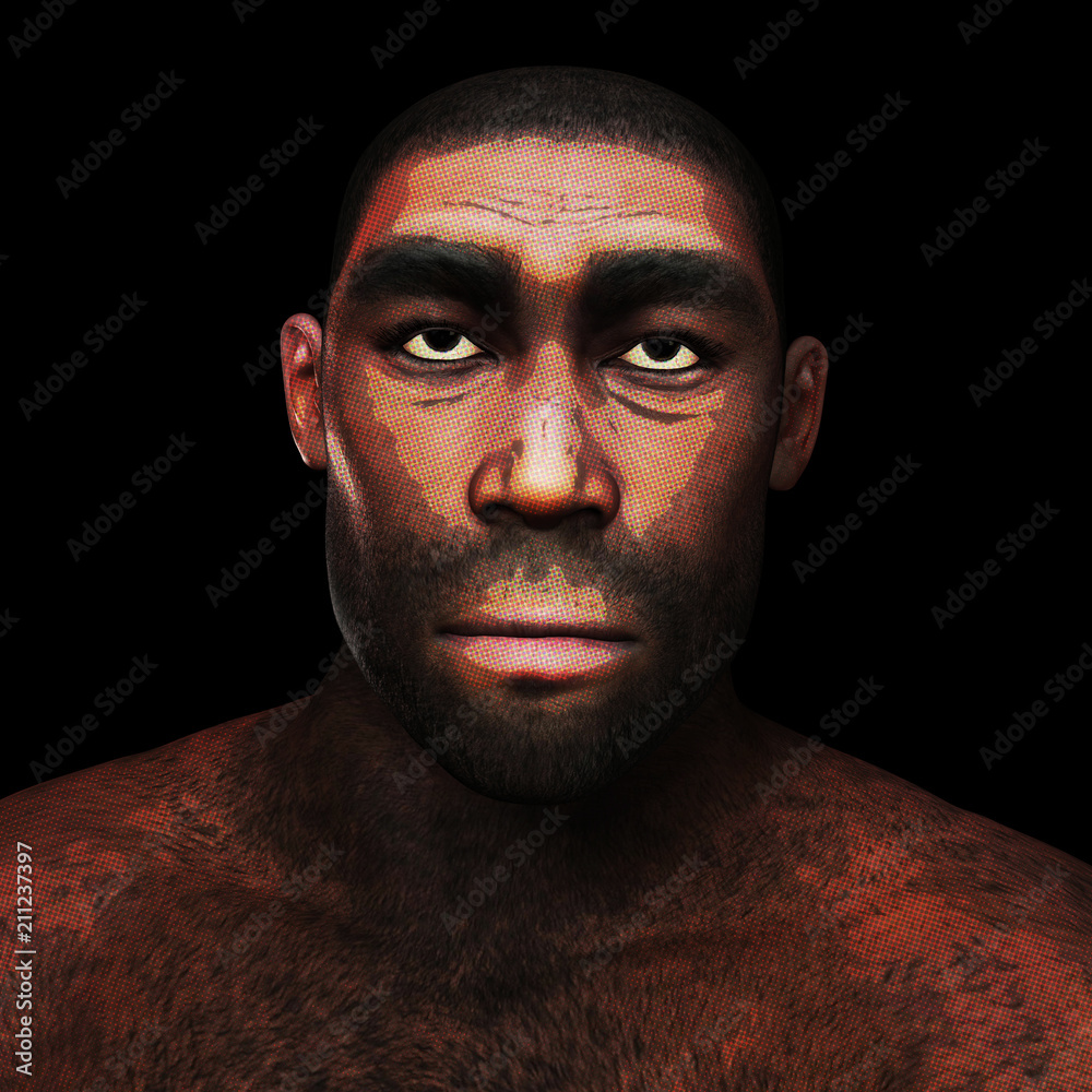 Digital 3D Illustration of a Homo Erectus Stock Illustration | Adobe Stock