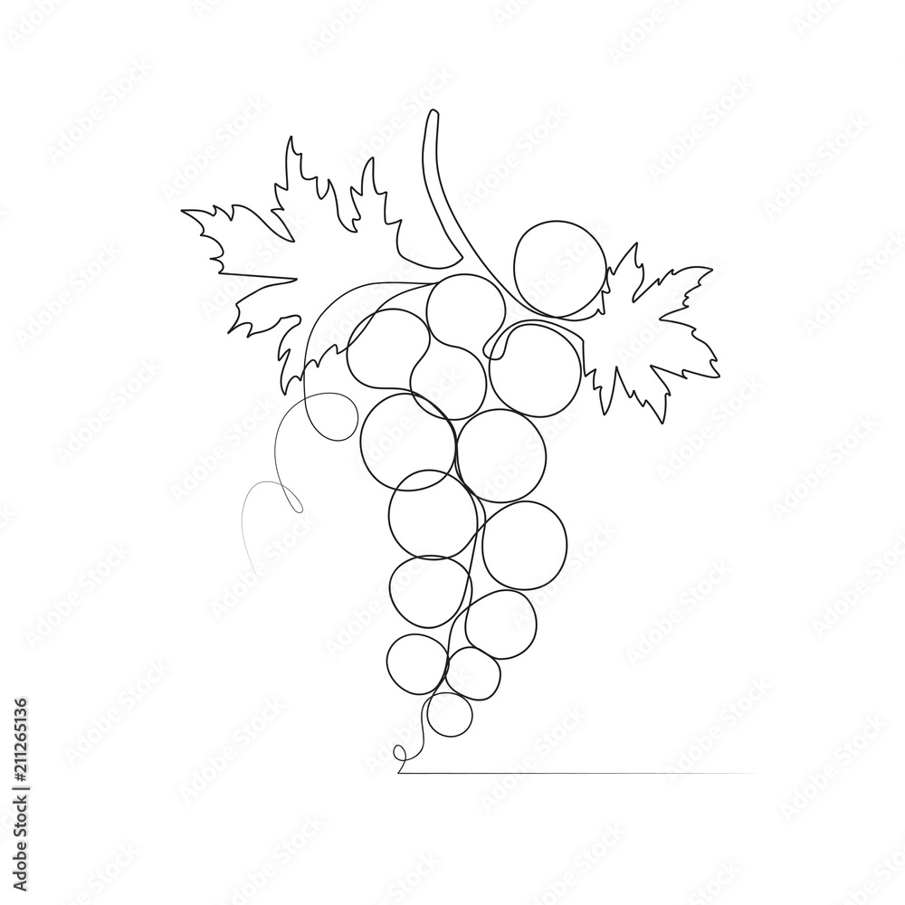 One line drawing grape sketch isolated on white background. Stock ...