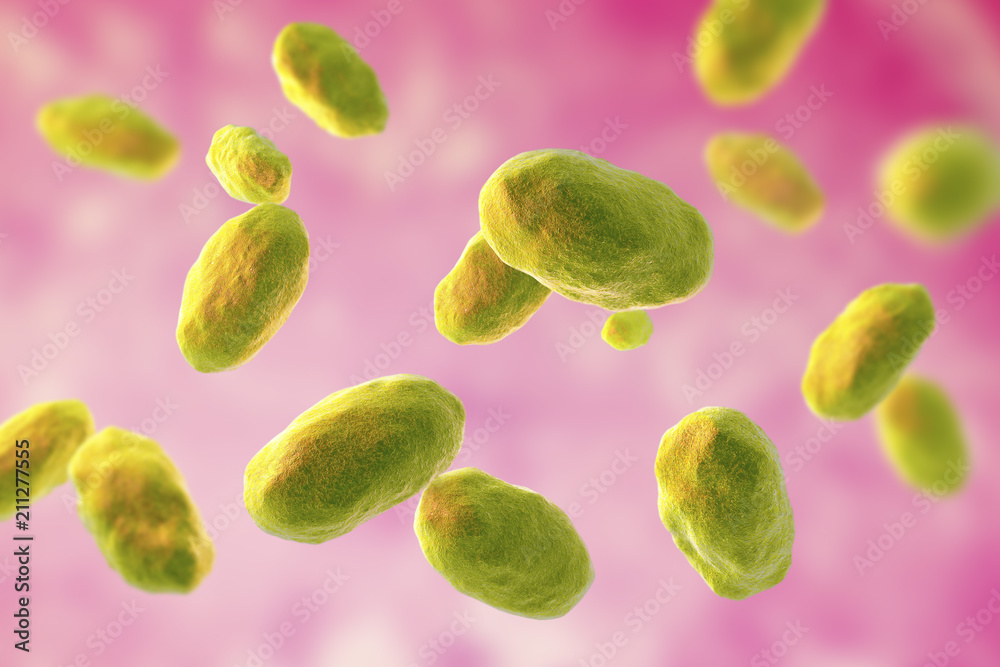 Yersinia enterocolitica bacteria, 3D illustration. Gram-negative ...