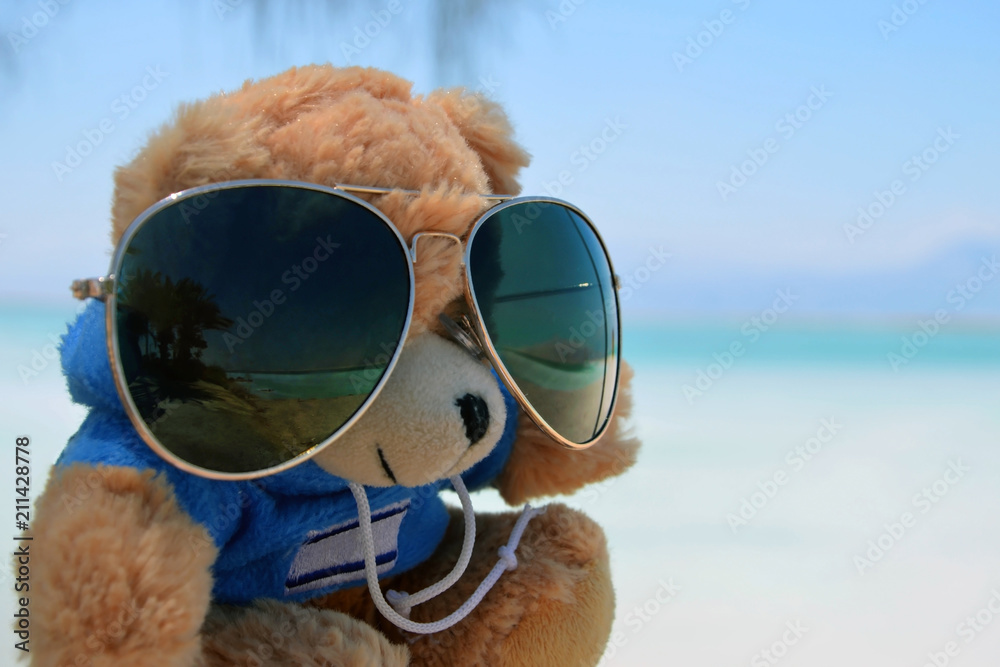 teddy bear on a sunny day against the background of the sea. Toy in ...