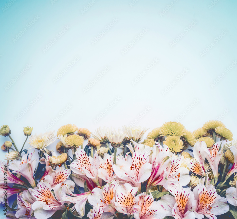 Beautiful flowers border on pastel blue background. Floral layout with ...