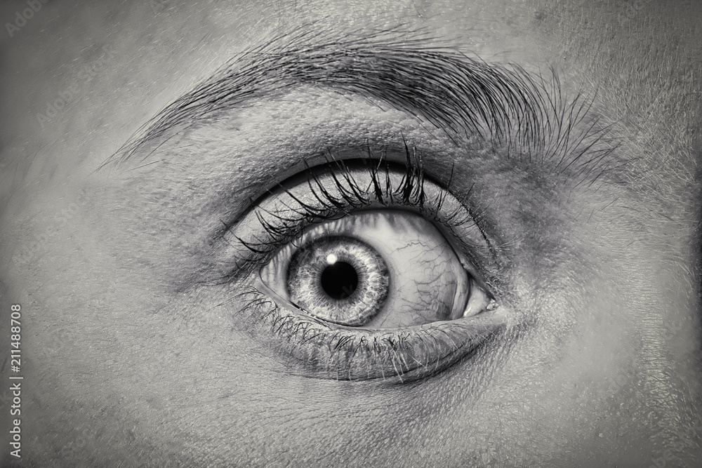 Female eye. Surprise. Human emotions. Eye close-up. The big pupil. Vision. Eye clinic ...