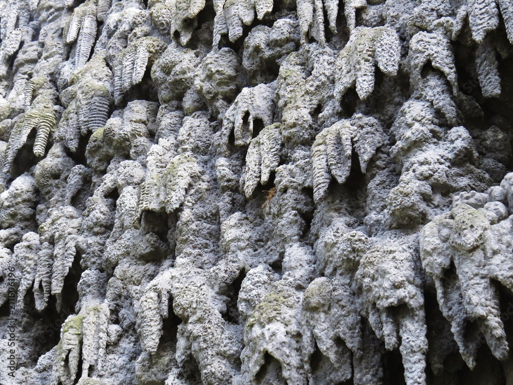 Grotto Drip stone Wall Located on the grounds of the magnificent ...