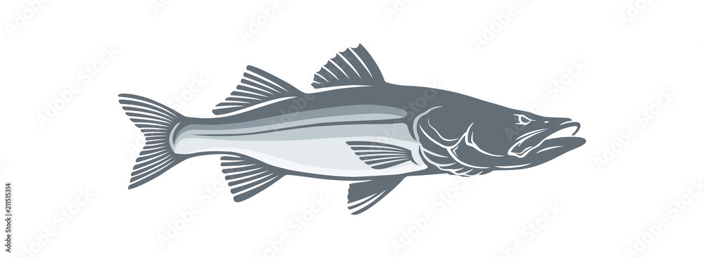 Poster Common snook fish – Wall Art | UkPosters