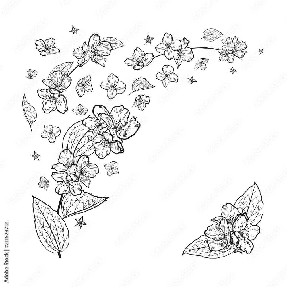 Decorative corner element with jasmine flowers for floral design. Card ...