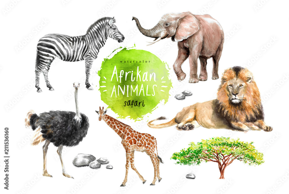 watercolor illustration of wildlife in Africa: zebra, lion, ostrich ...