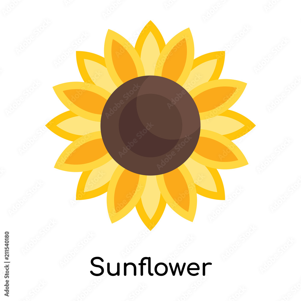 Sunflower icon vector sign and symbol isolated on white background ...