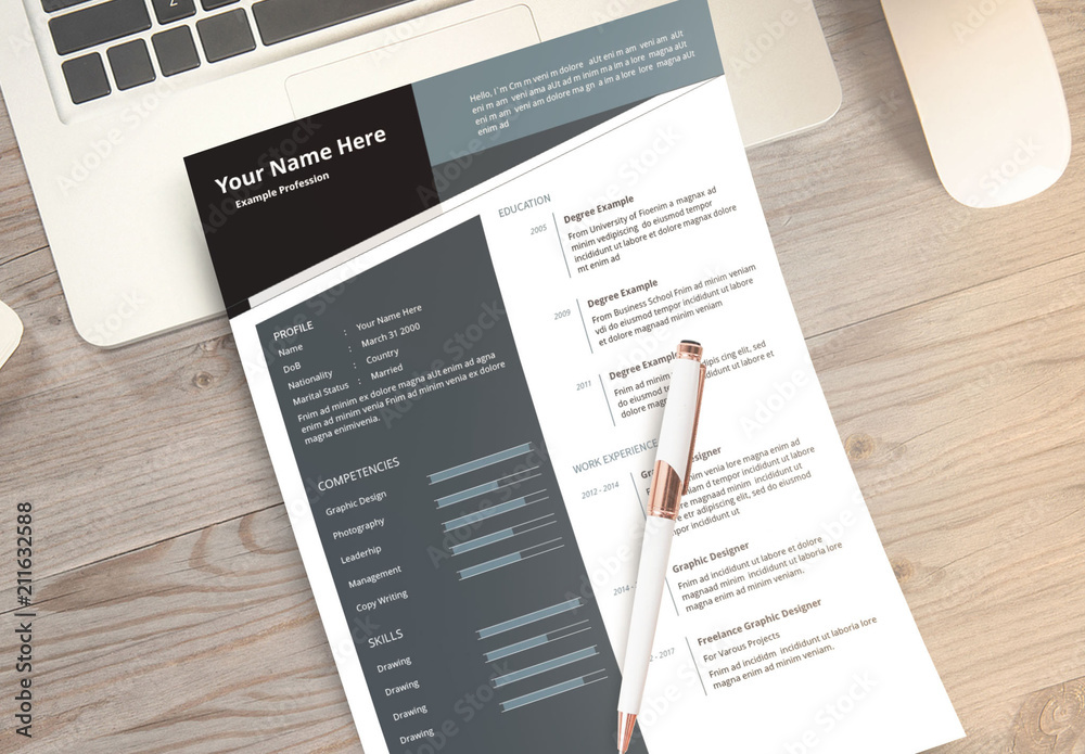 Resume Layout Set with Grey Sidebar Stock Template | Adobe Stock