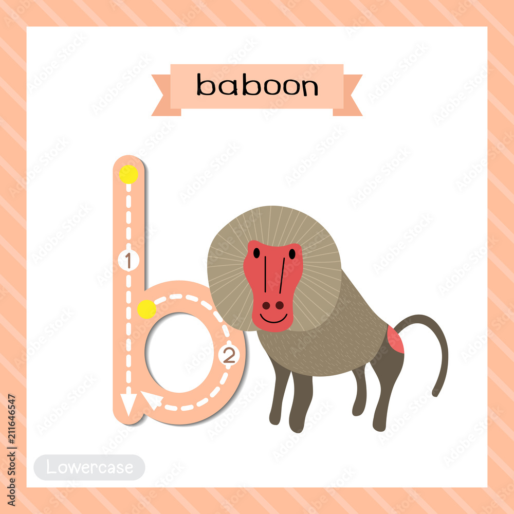 Letter B lowercase cute children colorful zoo and animals ABC alphabet ...