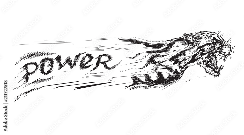 Wildcat growling in profile, has opened an embittered mouth, canines ...