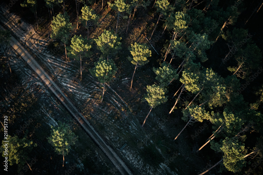 Route forestière au dessus du massif de la Foret de Gascogne foto de ...