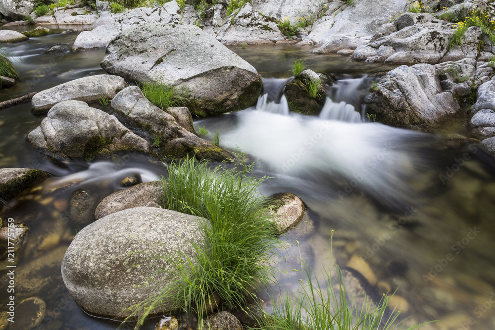 Un arroyo fluye entre árboles, rocas y cascadas en la ladera de una ...