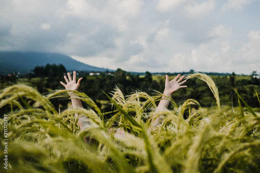 Relaxed young tourist in one of the largest rice fields on the island ...