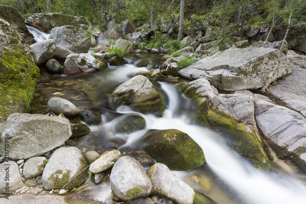 Un arroyo fluye entre árboles, rocas y cascadas en la ladera de una ...