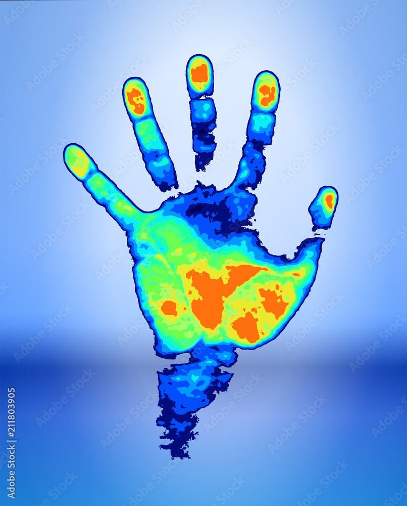 The concept of digital identification and recognition technologies ...