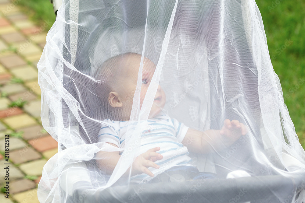 Child in stroller covered with protective net during walk. Baby ...