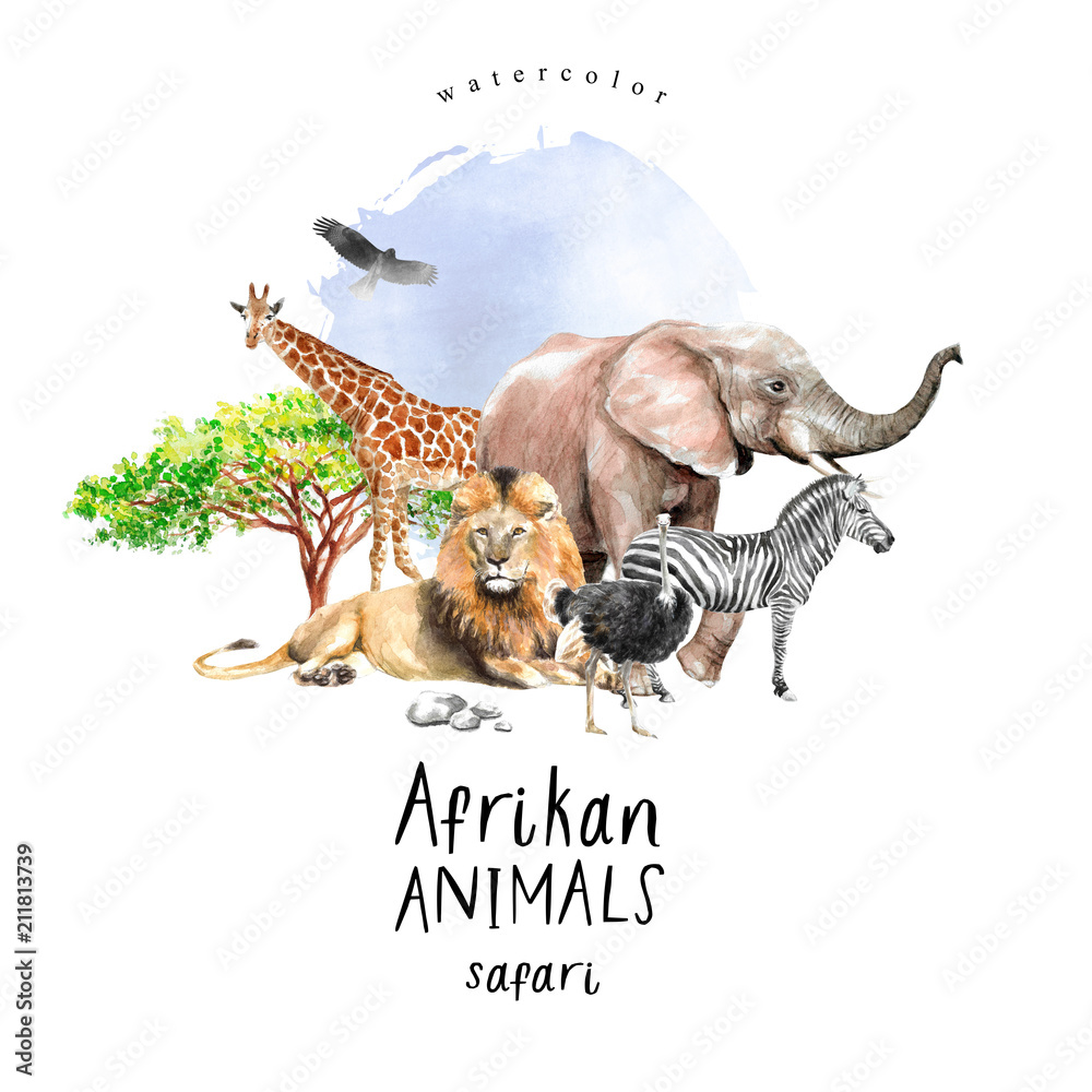 watercolor illustration of African animals: zebra, lion, ostrich ...