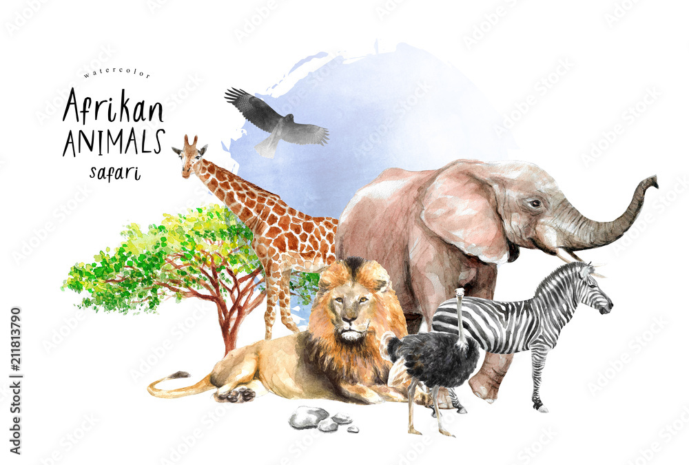 watercolor illustration of African animals: zebra, lion, ostrich ...