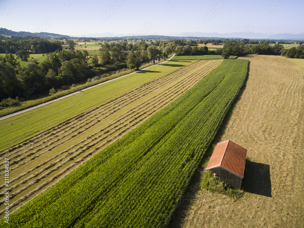 Natur in Bayern, Felder mit Scheune Stock Photo | Adobe Stock