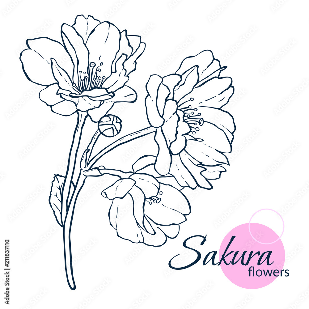 Japanese Flowers Line Drawings