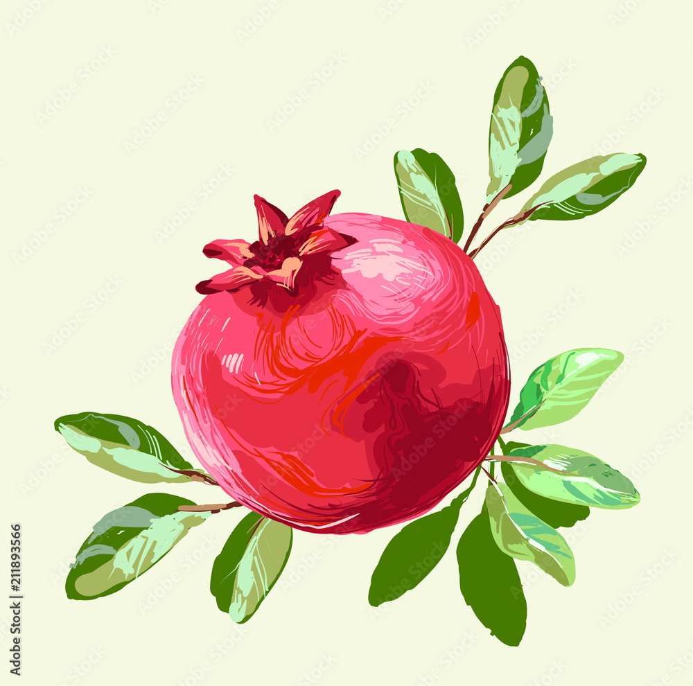 Pomegranate Drawing