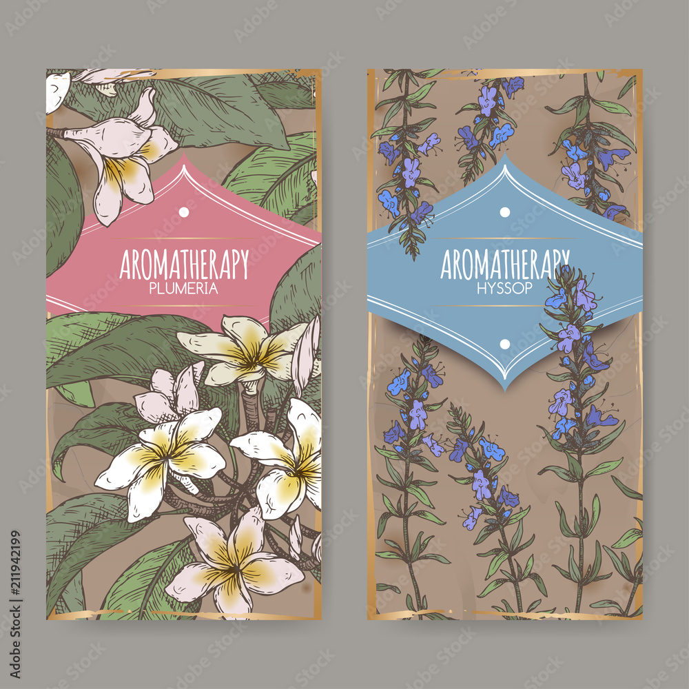 Two color labels with Plumeria rubra aka Frangipani and Hyssopus ...