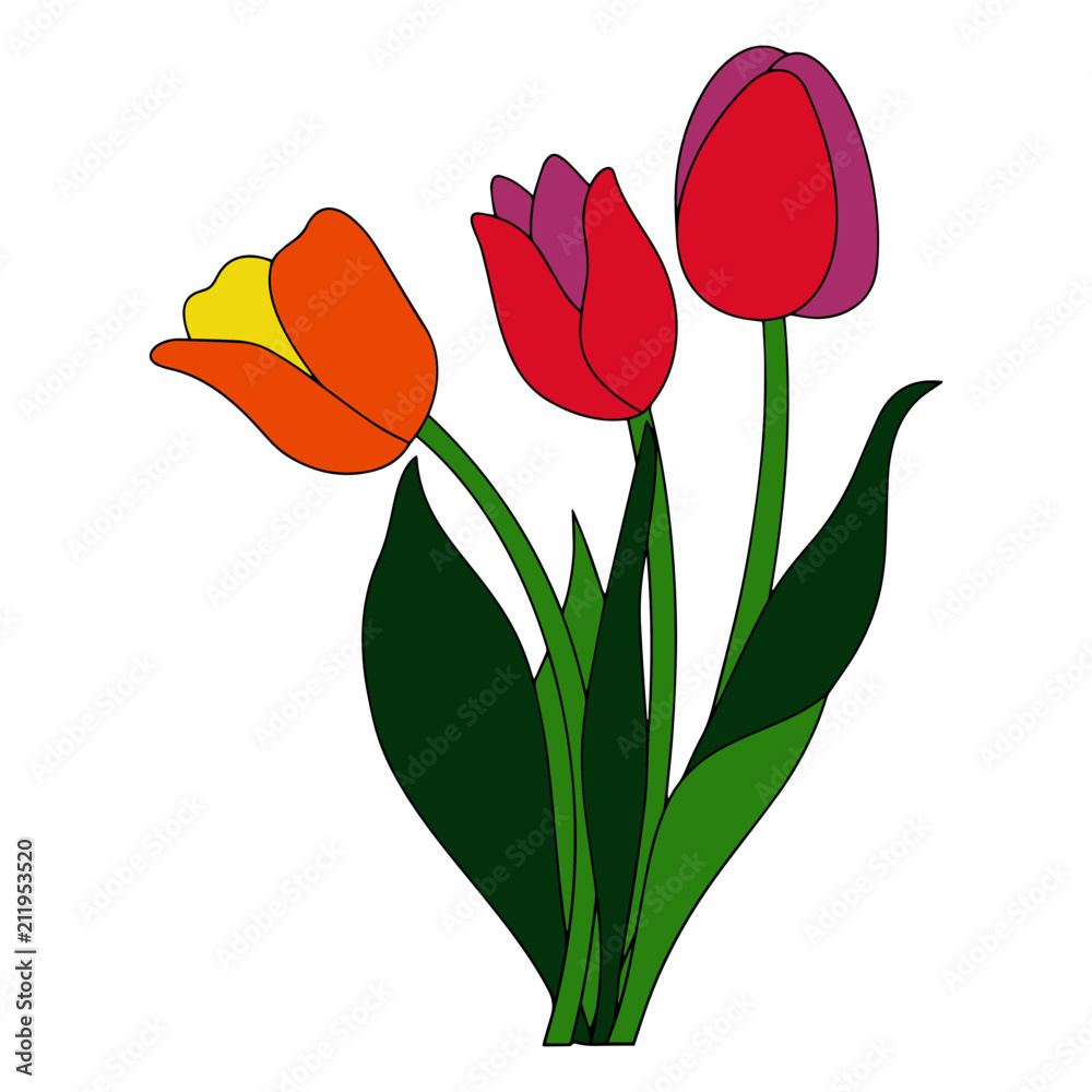 Tulip cartoon illustration isolated on white background for children ...