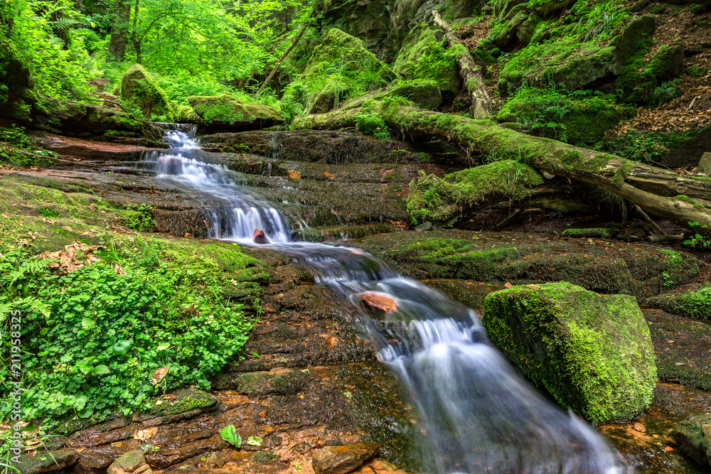 fließender Bach im Wald Stock Photo | Adobe Stock