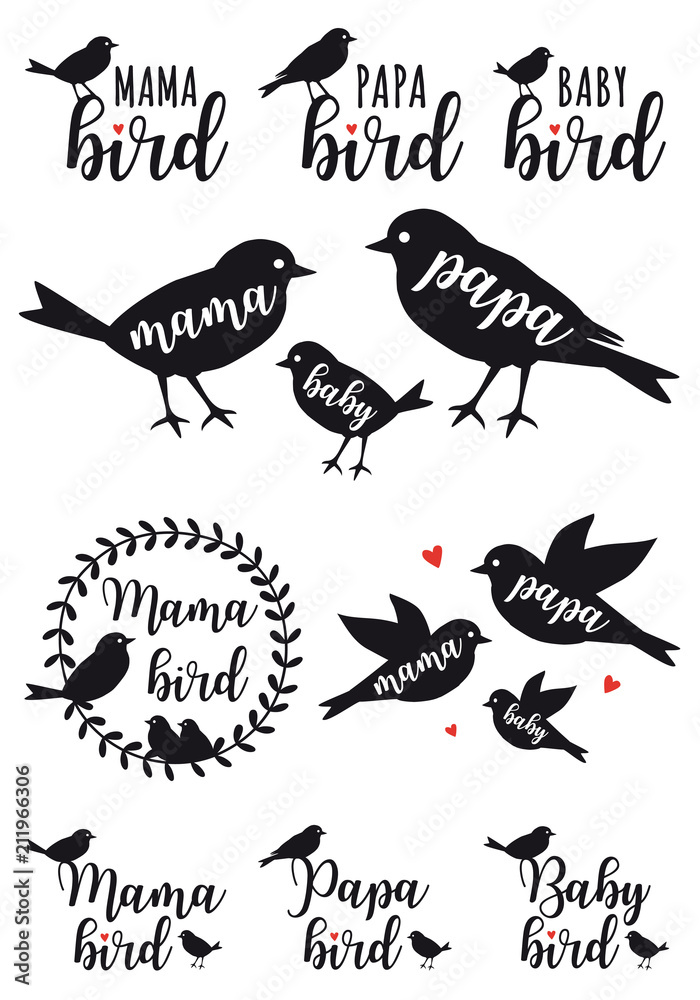 mama bird, papa bird, baby, vector set Stock Vector | Adobe Stock