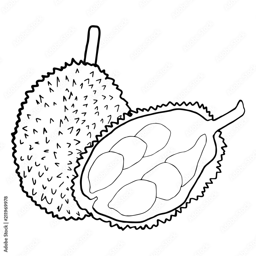 Durian cartoon illustration isolated on white background for children ...