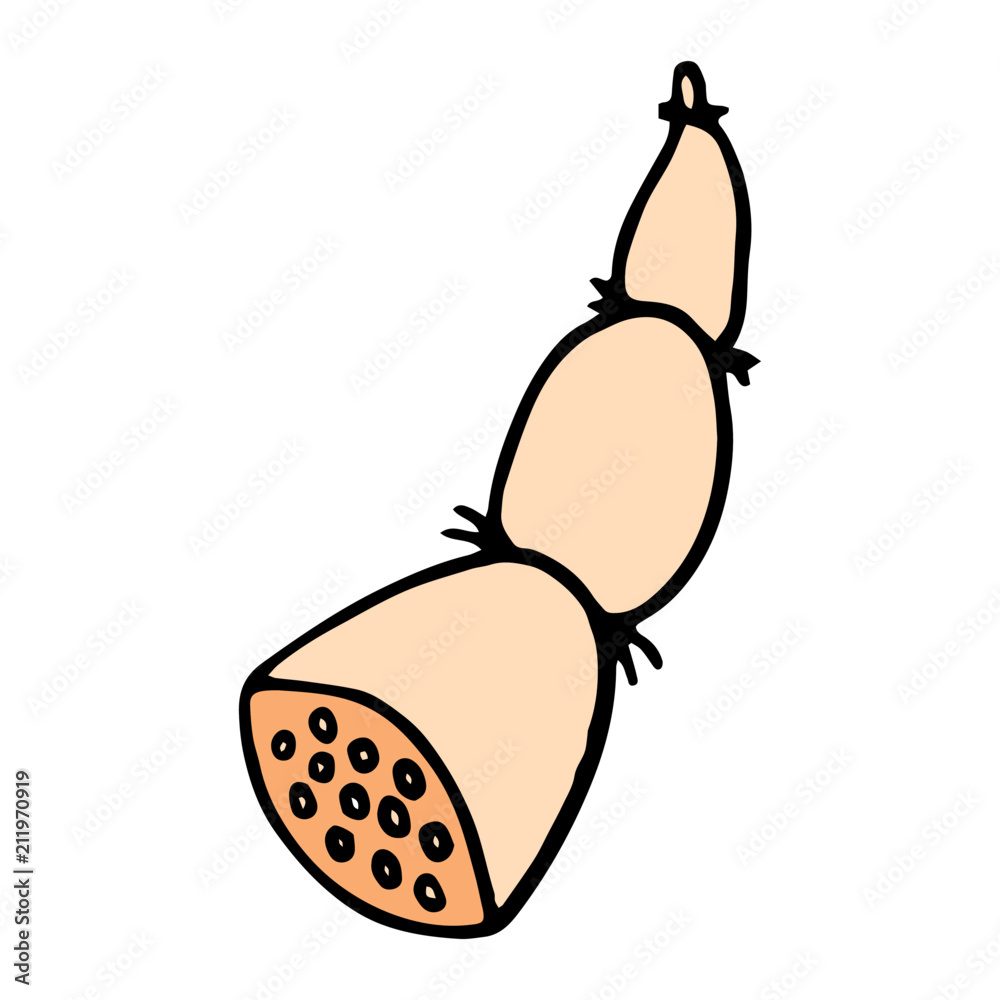 Lotus Root cartoon illustration isolated on white background for ...