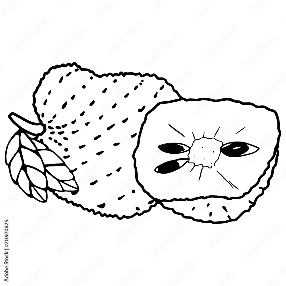 Soursop cartoon illustration isolated on white background for children ...