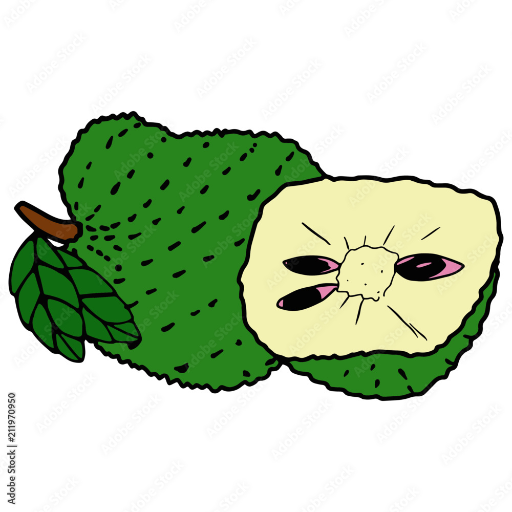 Soursop cartoon illustration isolated on white background for children ...