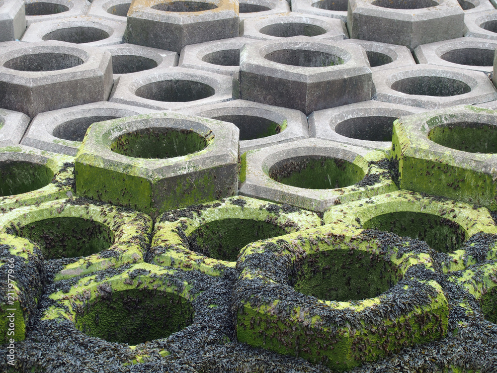 concrete defensive sea wall showing seaweed on the high tide mark and ...