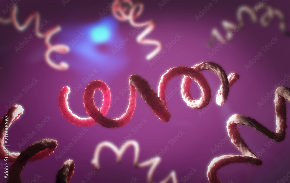 3d illustration of a syphilis pathogen Stock Illustration | Adobe Stock