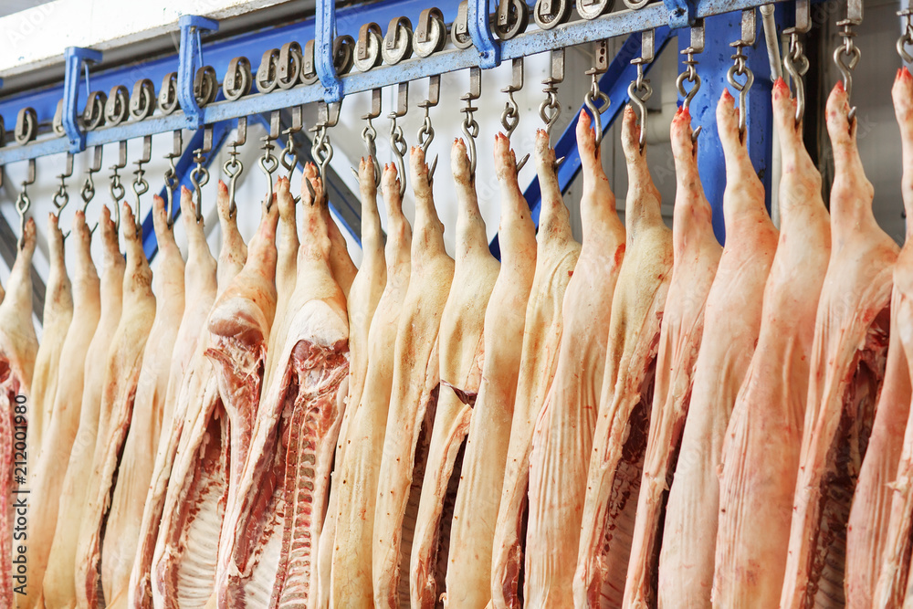 Pig carcasses cut in half stored in refrigerator room of food ...