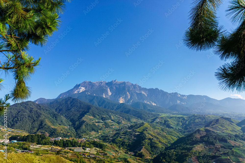 Mount Kinabalu naturally framed by leaves of pine tree at morning in ...