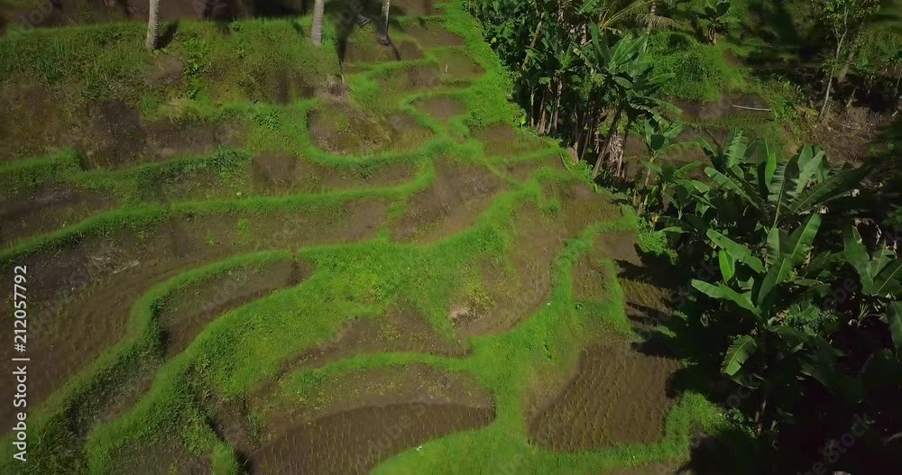 Hillside with rice farming. World's most beautiful landscapes in nature ...