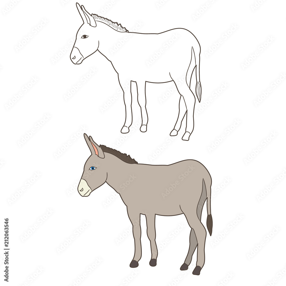 donkey, mule, outline Stock Vector | Adobe Stock