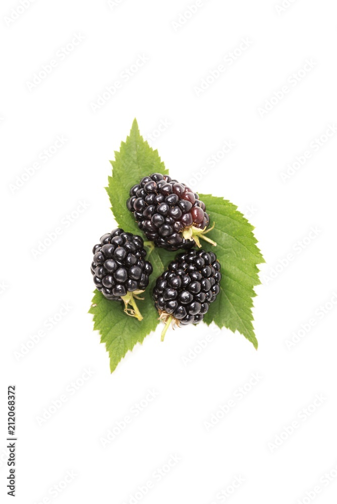 White Blackberry Fruit